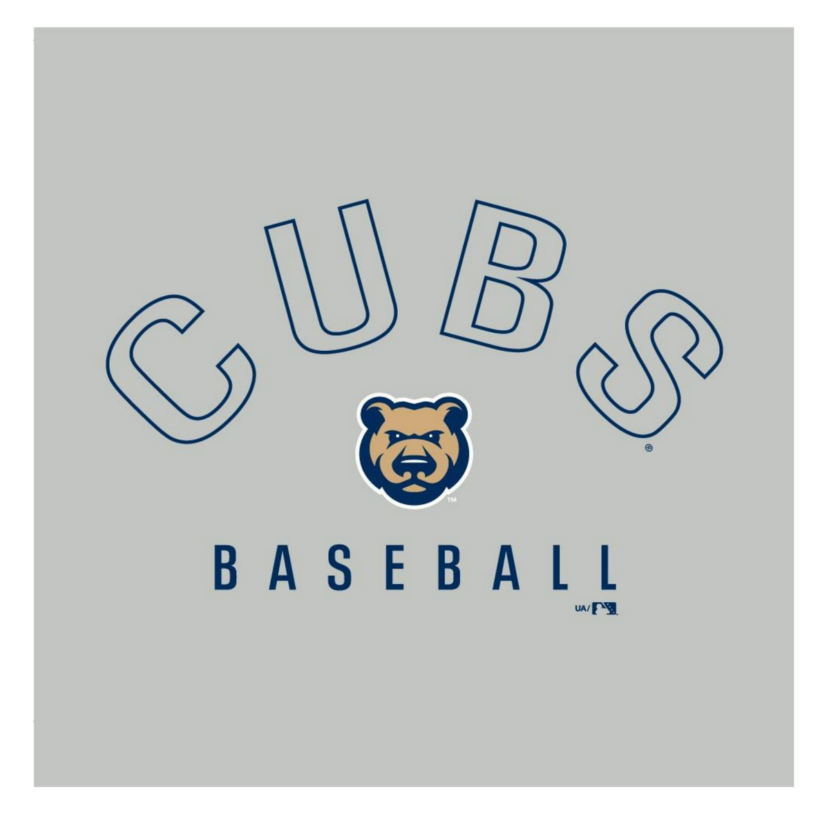 Women's Iowa Cubs Under Armour Hooded Long Sleeved Tee – Iowa Cubs ...