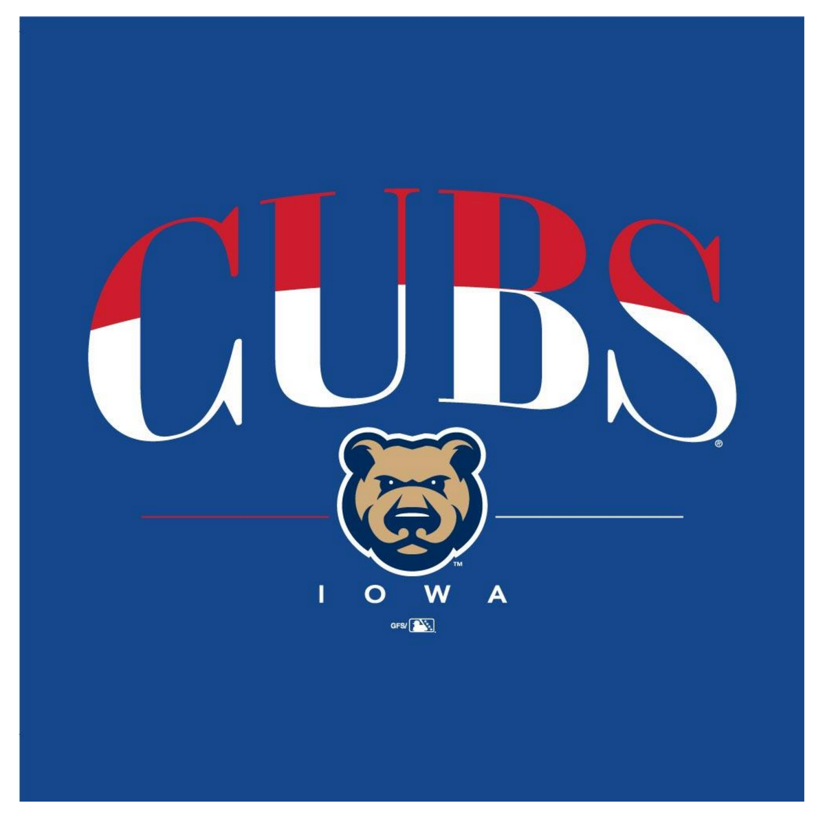 Women's Iowa Cubs Champion V-neck Tee – Iowa Cubs Official Team Store
